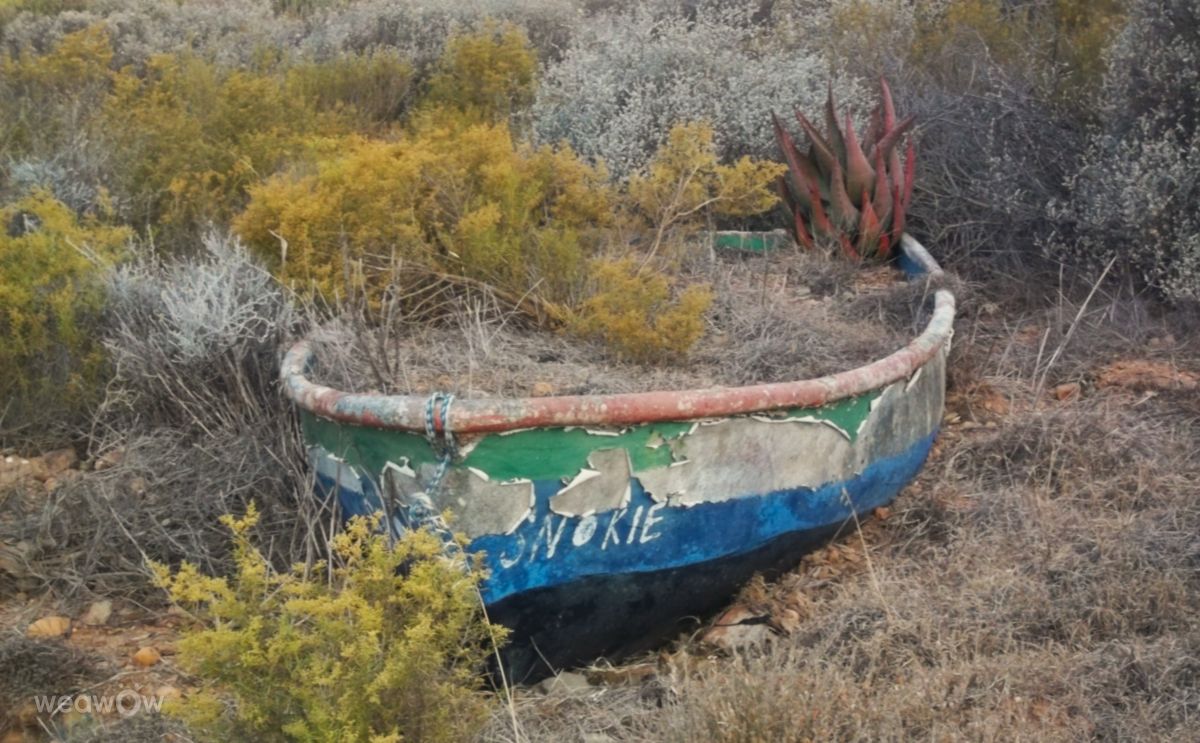 Photographer Step_Gently, Weather Photos in Hermanus - Weawow