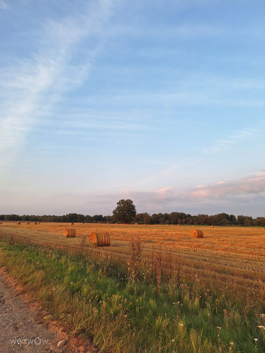 Photographer NaturePhotographer2, Weather Photos in Lithuania - Weawow