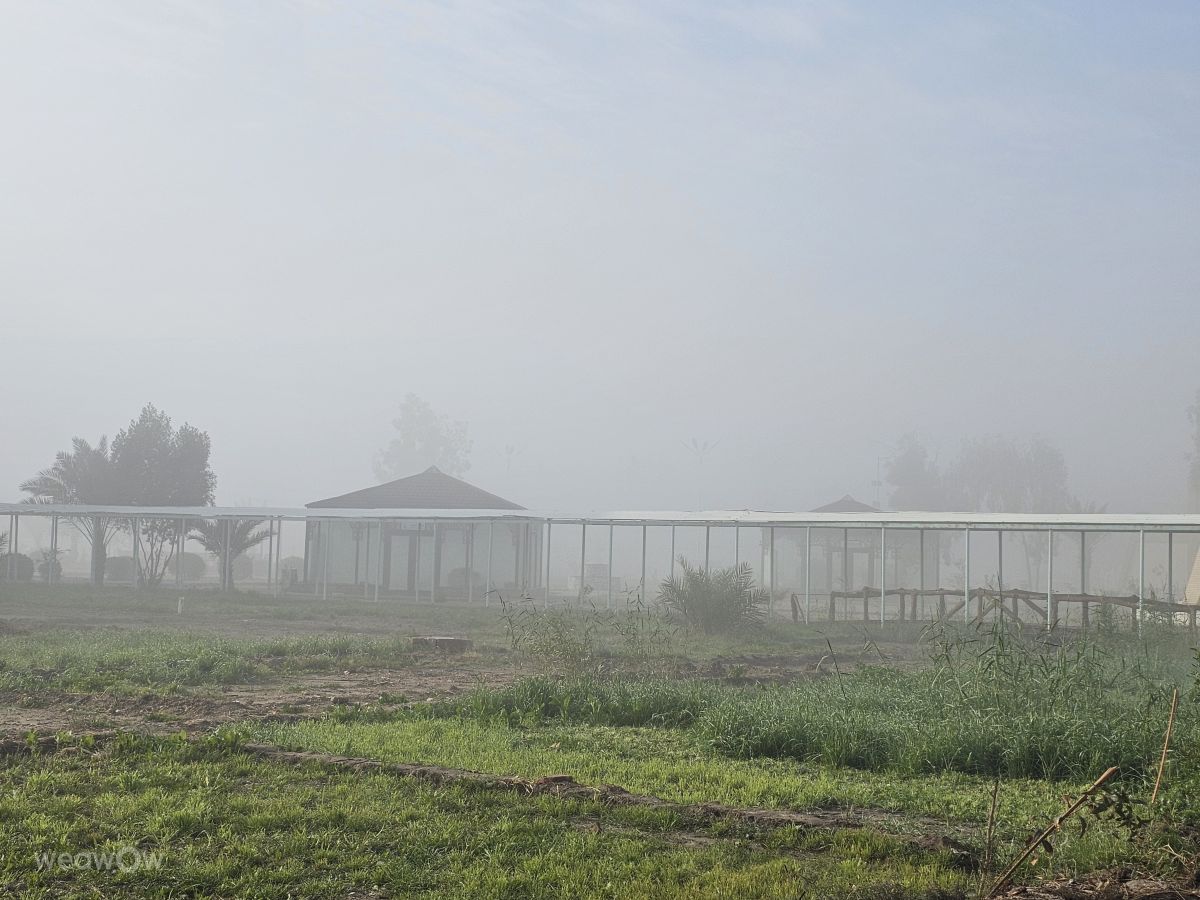 Photographe عطر الياسمين, Photos météo à An Najaf - Weawow