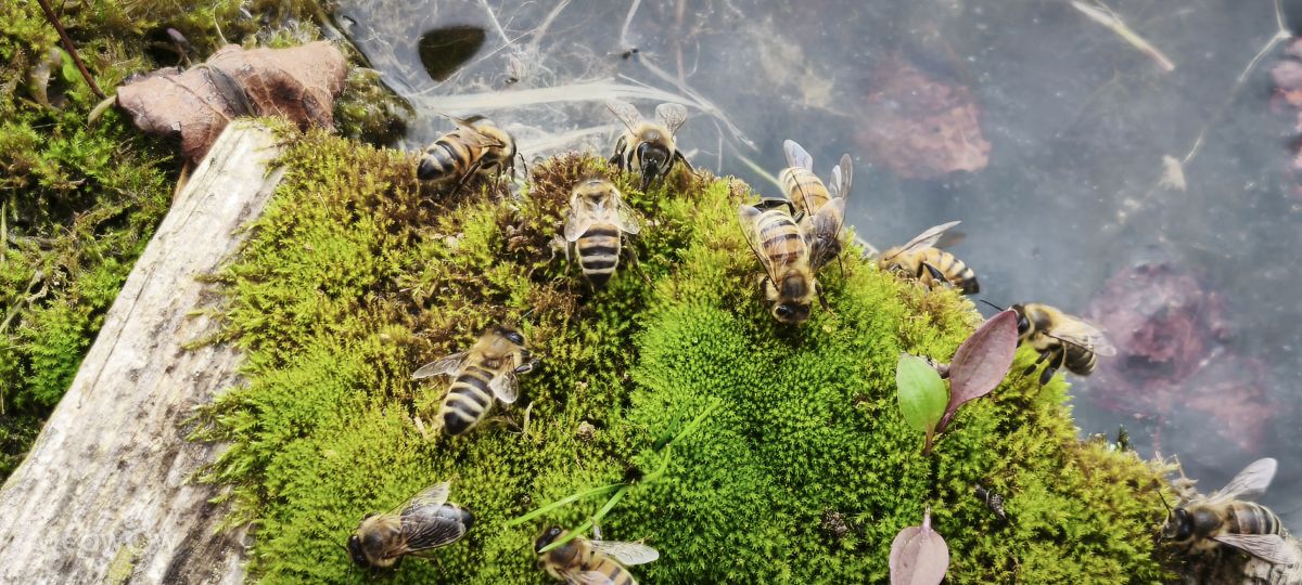 Fotógrafo Valiukas, Fotos sobre el clima en Lituania - Weawow