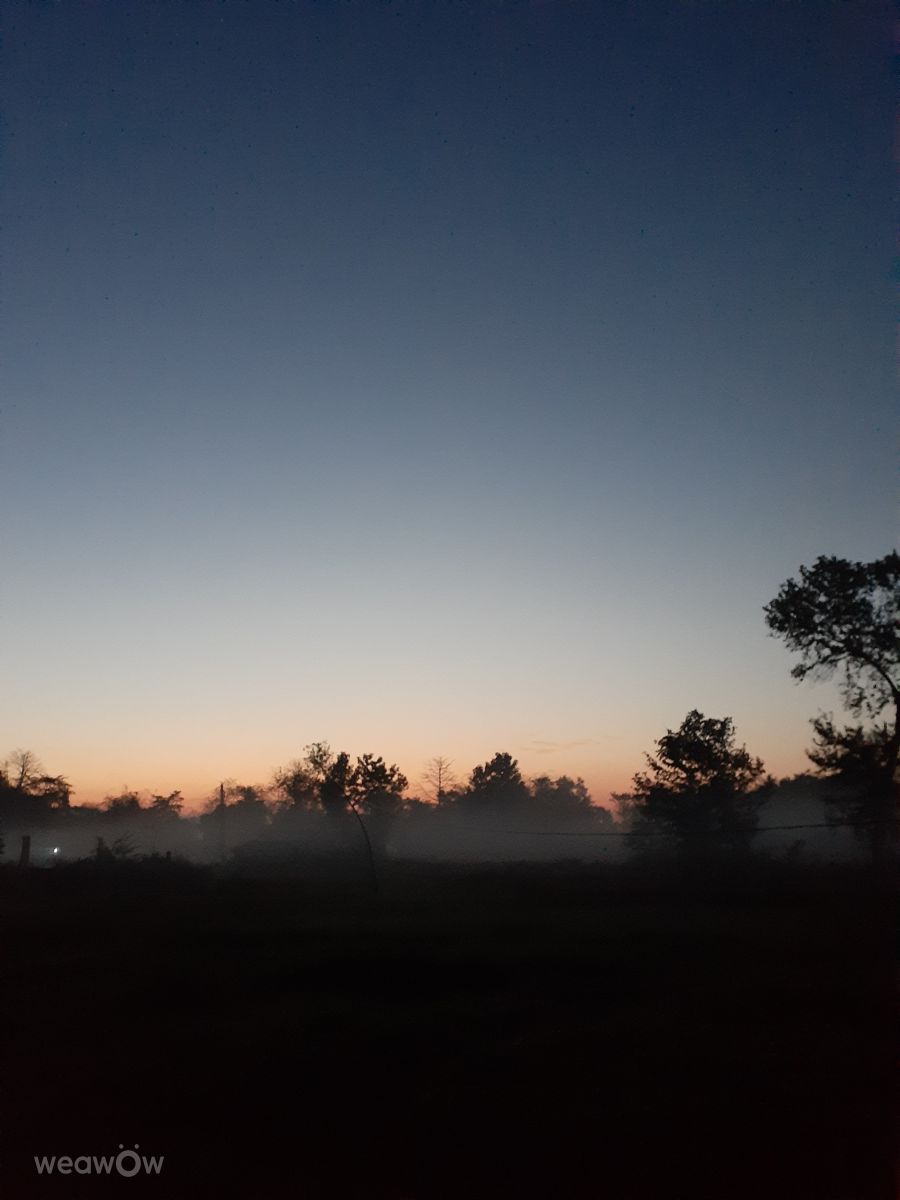 Sainamaina Nepal, 14 days Weather forecast, Radar & Photos - Weawow