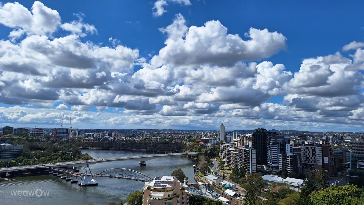 Photographer bats, Weather Photos in Brisbane - Weawow