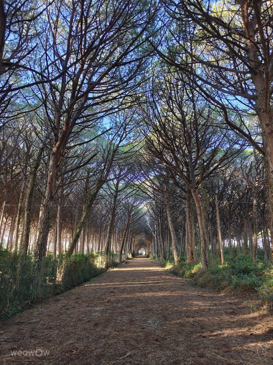 مصور فوتوغرافي Danilo Bellucci، صور الطقس في Mazzanta - Weawow