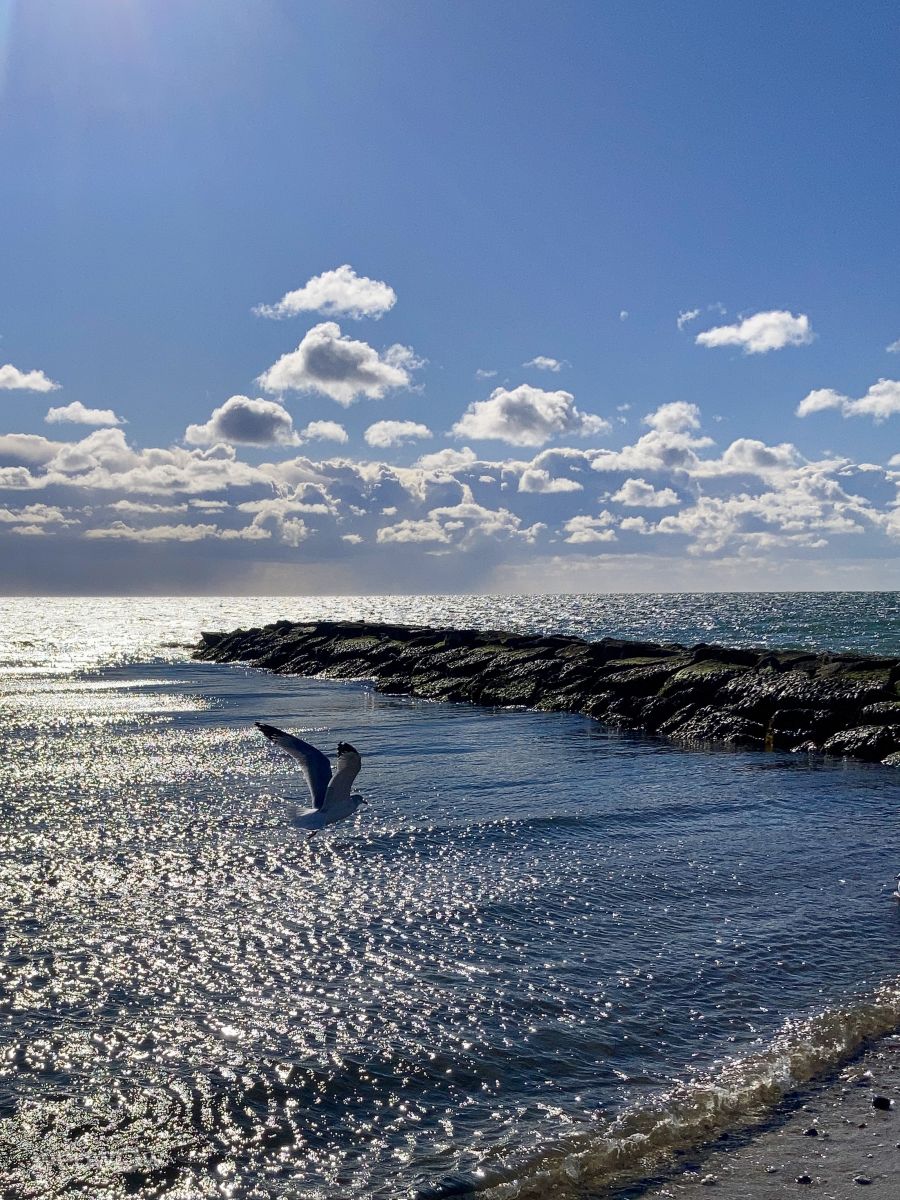 Fotograf prairiesands, Zdjęcia Pogody w Cape Cod - Weawow