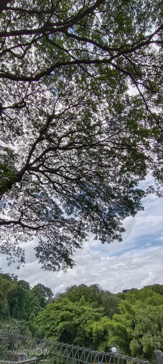 Yogyakarta Indonesia, Prakiraan cuaca untuk 14 hari, Radar & Foto - Weawow