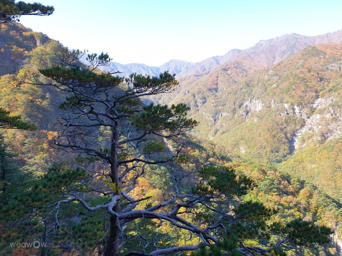 Photographer JHKang, Weather Photos in Murŭng-gyegok - Weawow