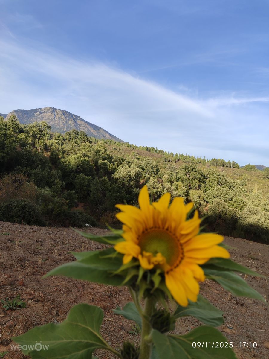 Fotógrafo El Ayachi Makhlouf, Fotos sobre el clima en Bab Berred - Weawow