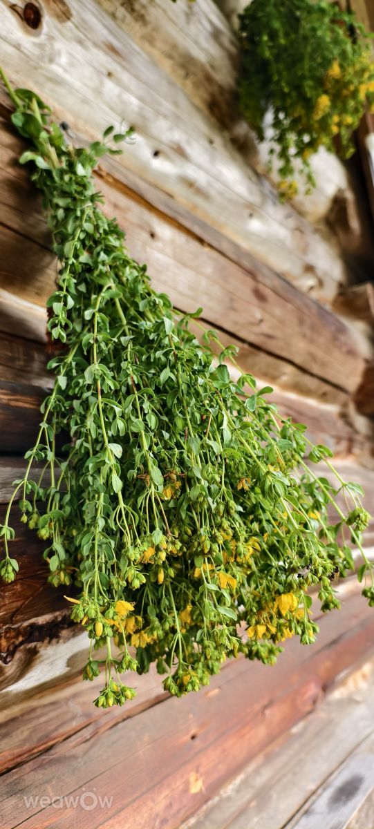 NatashaPerm หน้าของฉัน - Weawow