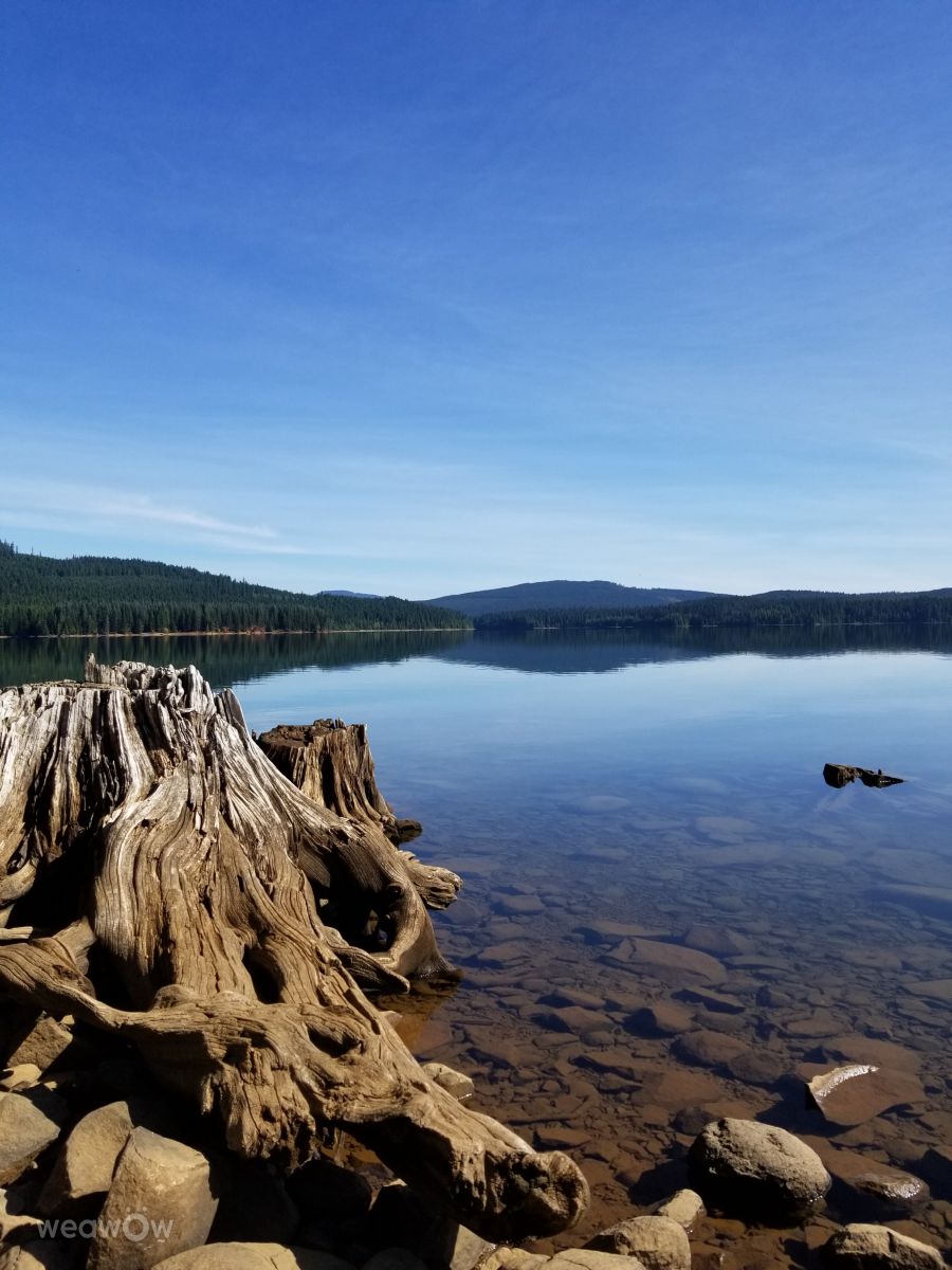 Timothy Lake United States, 14 days Weather forecast, Radar & Photos ...