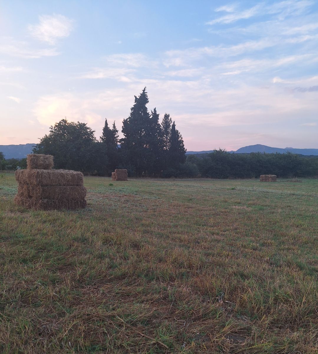 Corfou Grèce, Prévisions météo à 14 jours, Radar & Photos - Weawow