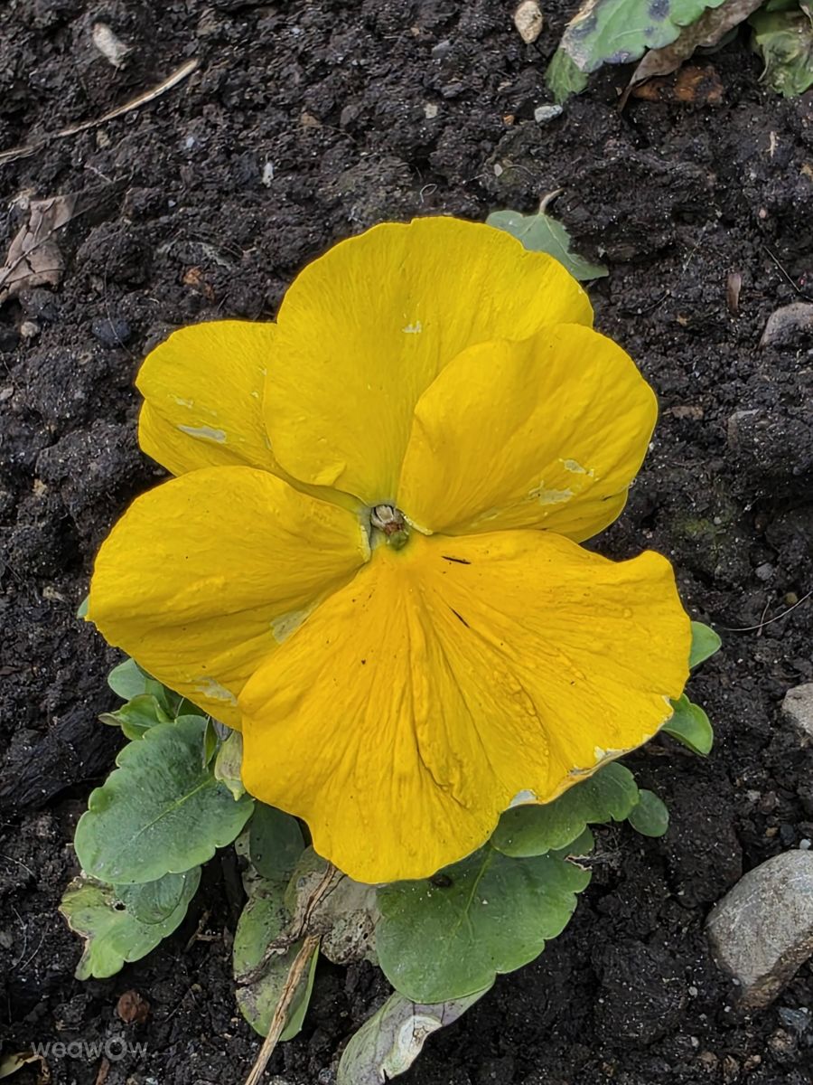 Nhiếp ảnh gia Fs68, Hình ảnh Thời tiết ở Espace Mittelland - Weawow