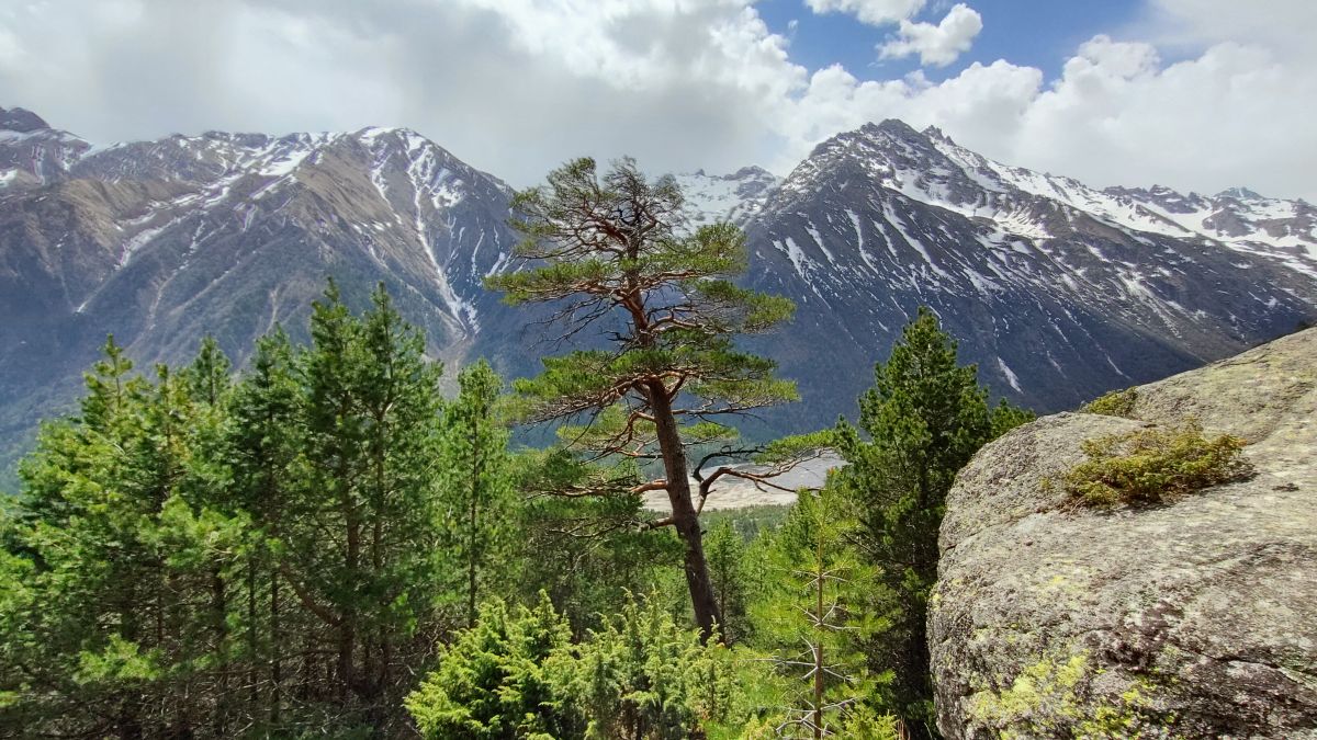 写真家 Bariket、Kabardino-Balkariya Republicの天気写真 - Weawow