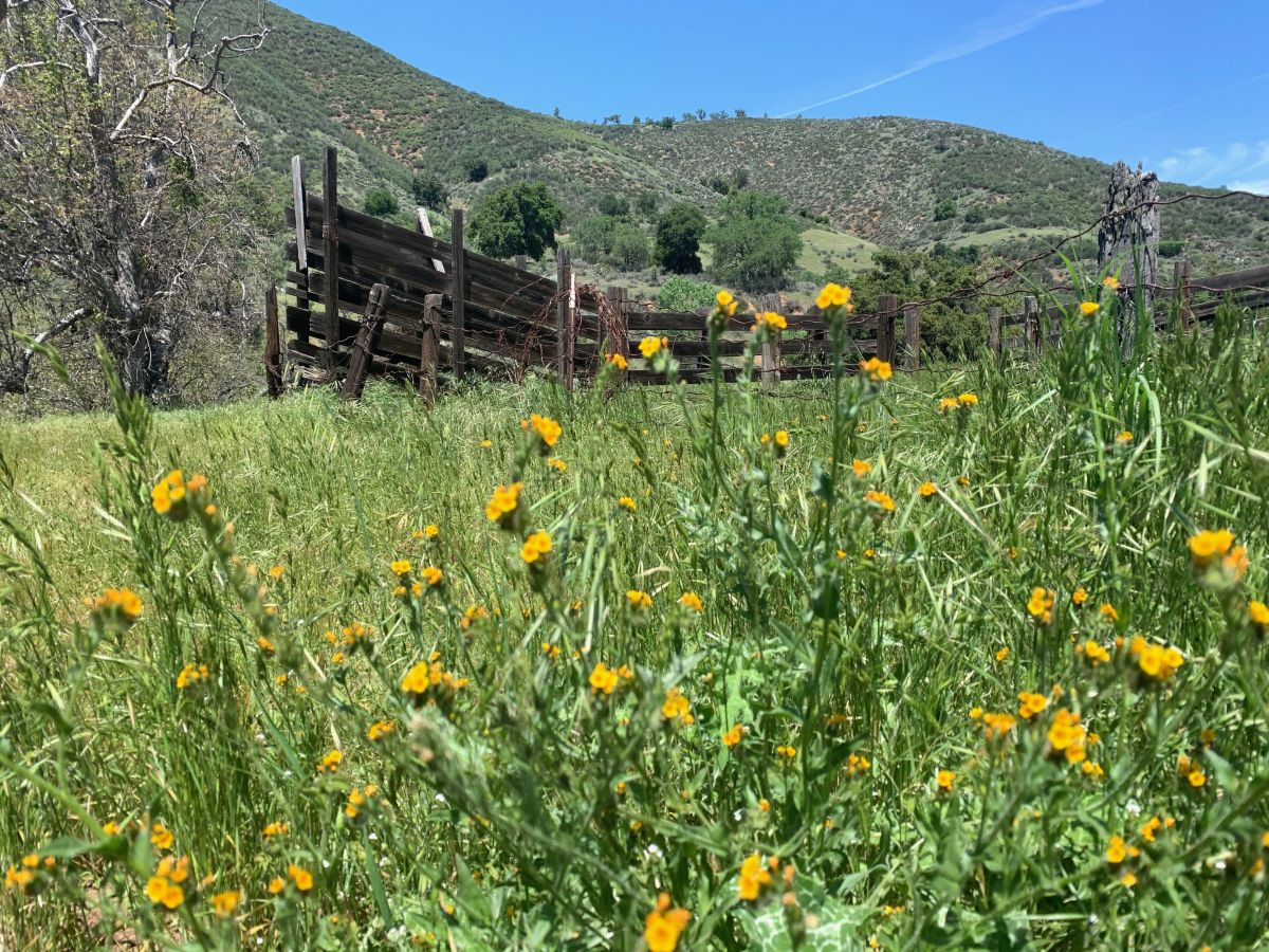 写真家 Lsnarr、Cable Corral Springの天気写真 - Weawow