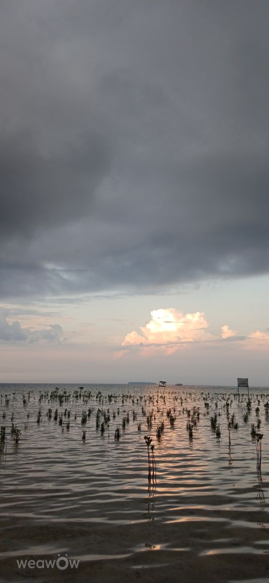 Daerah Khusus Ibukota Jakarta Indonesia, Prakiraan cuaca untuk 14 hari ...