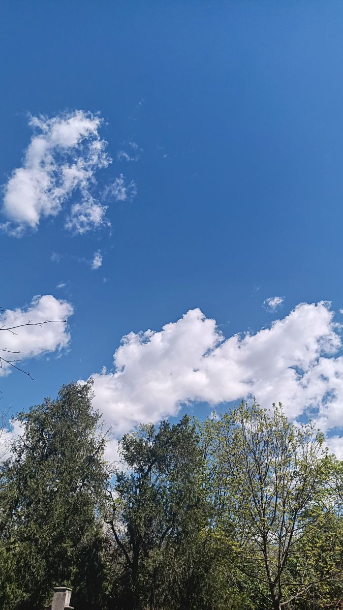 București România, Prognoza meteo pentru 14 zile, Radar & Fotografii ...