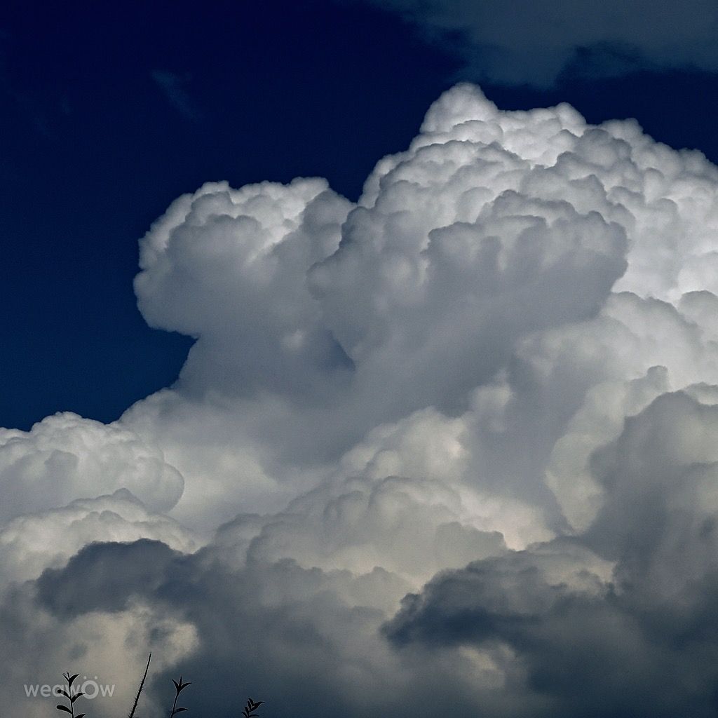 Fotógrafo meca78, Fotos sobre el clima en Suseni - Weawow