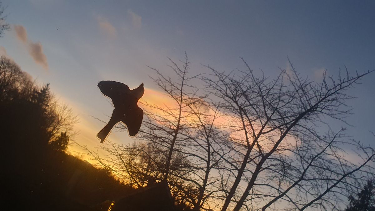 Heathrow Airport London (LHR) United Kingdom, 14 days Weather forecast ...