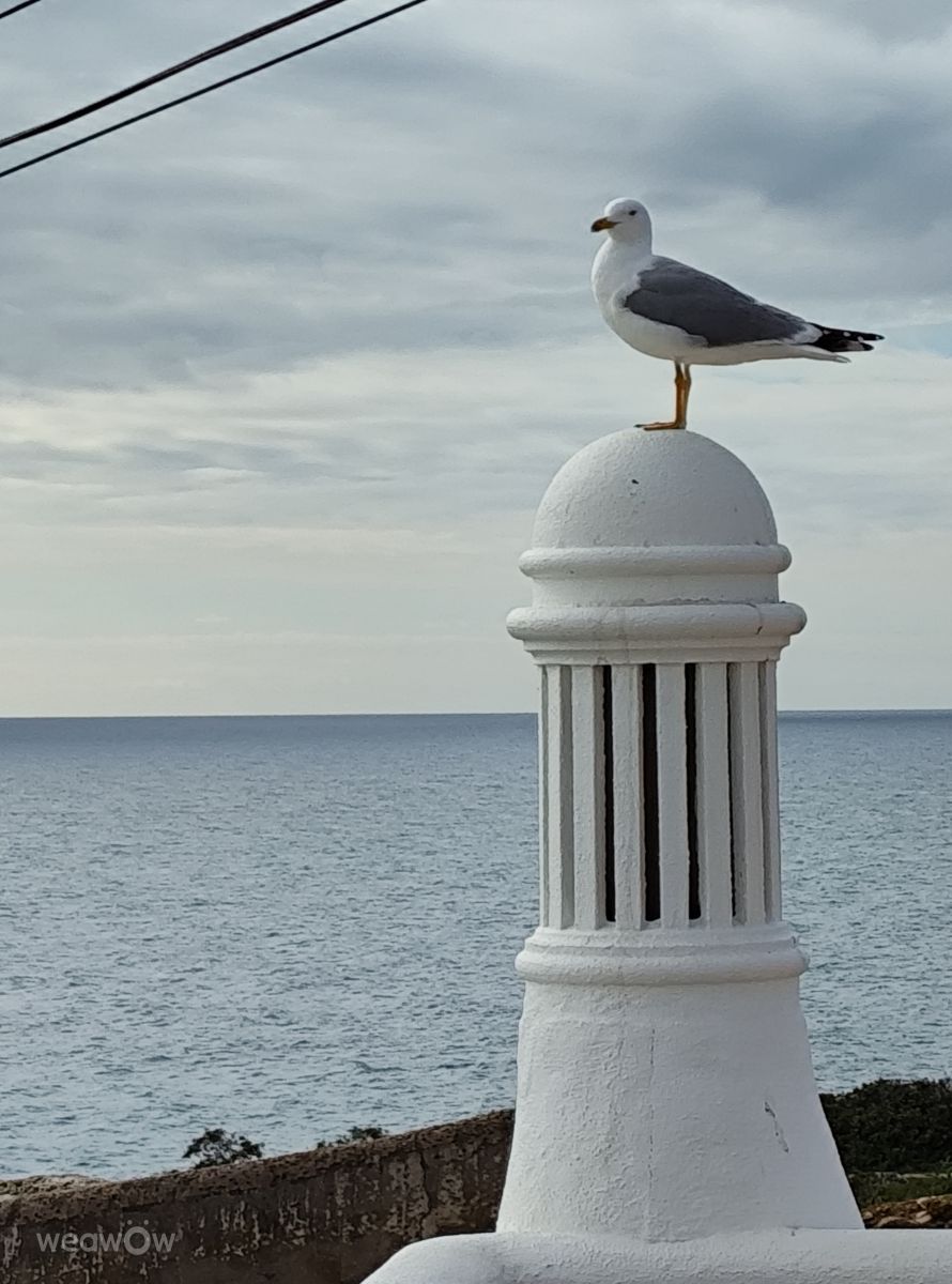 写真家 Brtd、Praia do Carvoeiroの天気写真 - Weawow