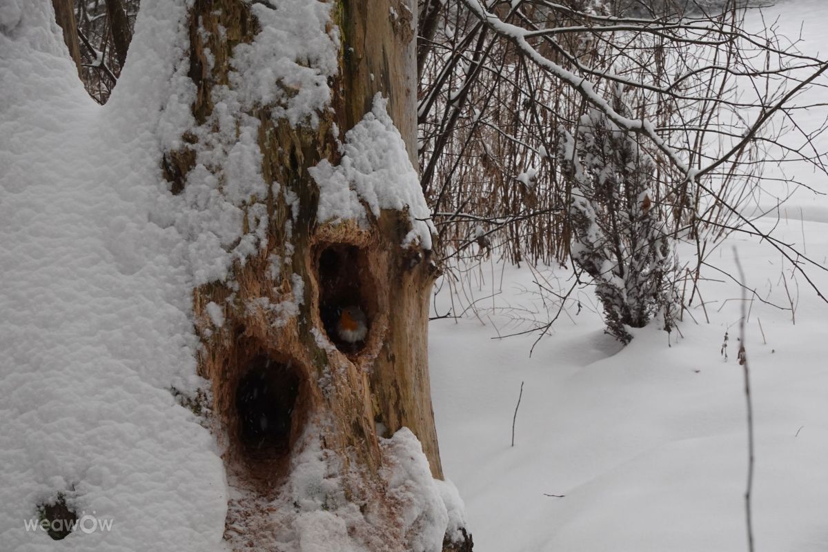 Praha 4 Czechia, Previsioni meteo a 14 giorni, Radar & Foto - Weawow