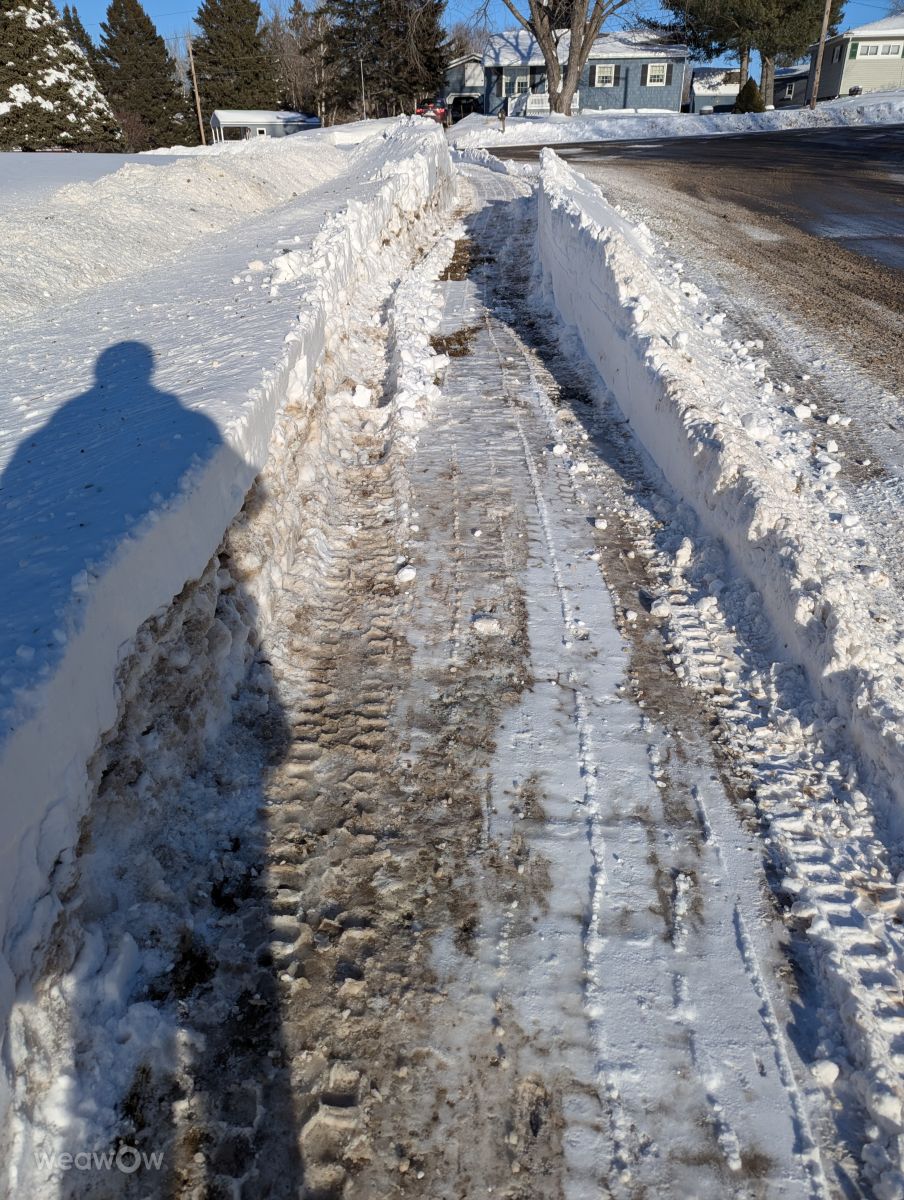 写真家 Morgain Bailey、プレスクアイルの天気写真 - Weawow