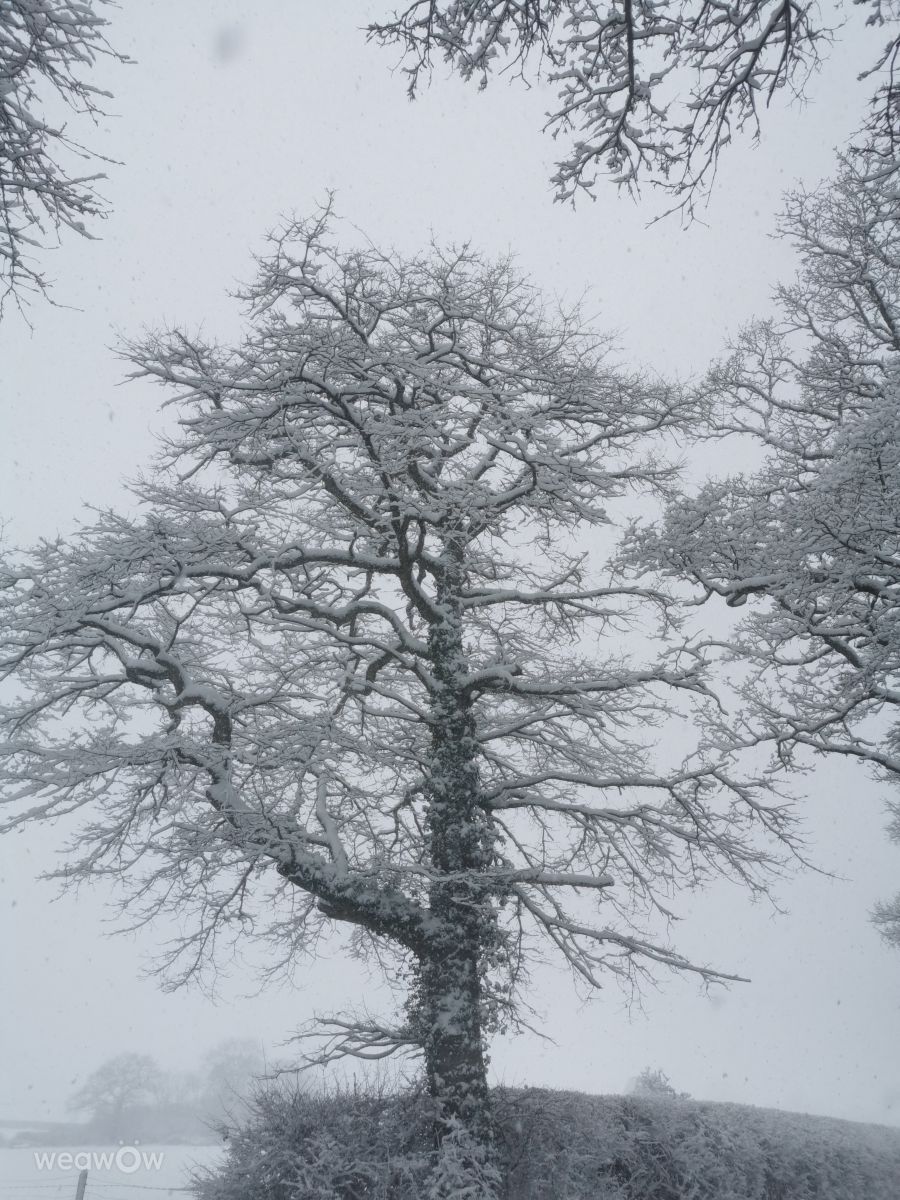 Cotswolds United Kingdom, 14 days Weather forecast, Radar & Photos - Weawow