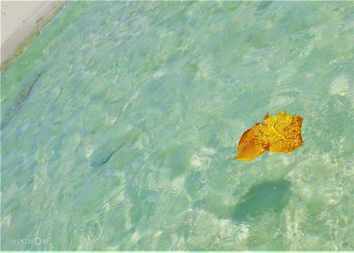 Playa Pesquero Cuba, 14 dages vejrudsigt, Radar & Fotos - Weawow