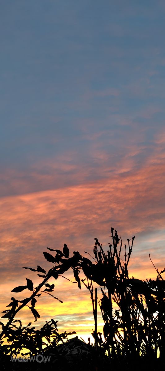 Photographer umemui, Weather Photos in Honshu - Weawow