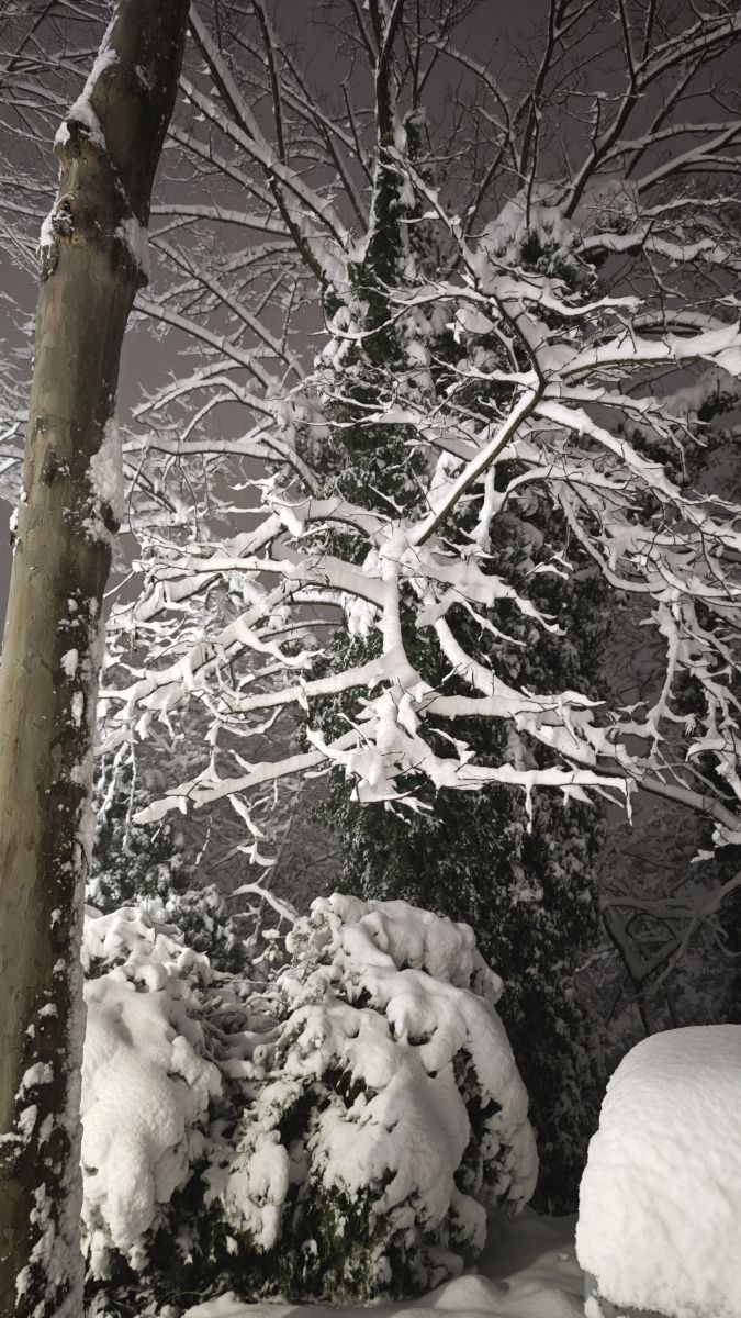 Photographer Fabri, Weather Photos in Sant'Angelo in Lizzola - Weawow