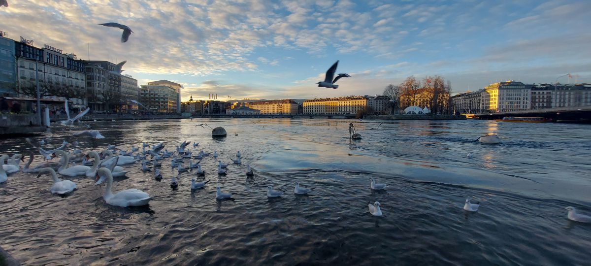 Genève Suisse, Prévisions météo à 14 jours, Radar & Photos - Weawow