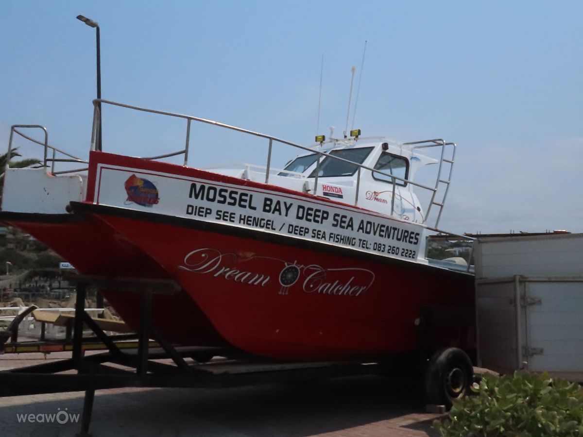 Photographer Step_Gently, Weather Photos in Mossel Bay - Weawow