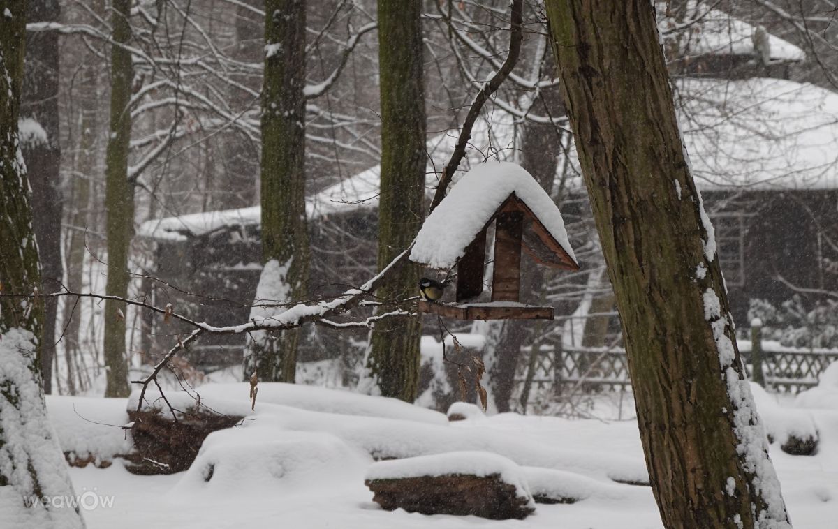 Praha 4 Czechia, Previsioni meteo a 14 giorni, Radar & Foto - Weawow