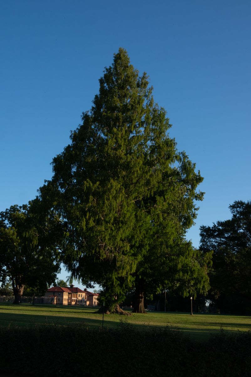 Madison State Hospital United States、14日間の天気予報、レーダー & 写真 - Weawow