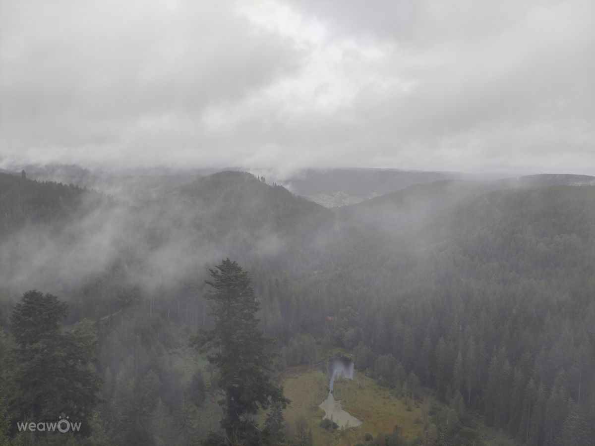Black Forest Germany, 14 days Weather forecast, Radar & Photos - Weawow