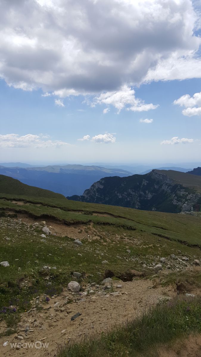 Babele România, Prognoza meteo pentru 14 zile, Radar & Fotografii - Weawow