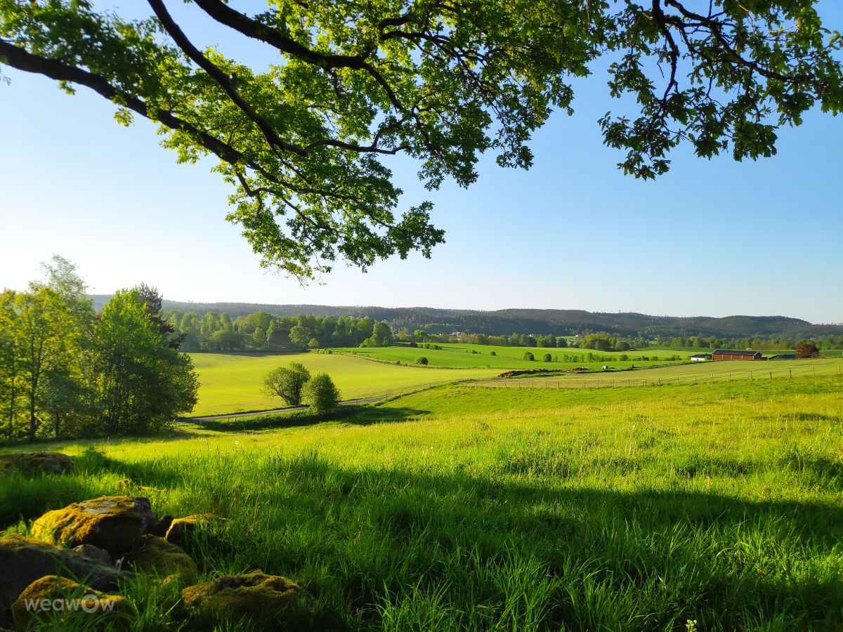 World, Weather forecast & Photos - Weawow