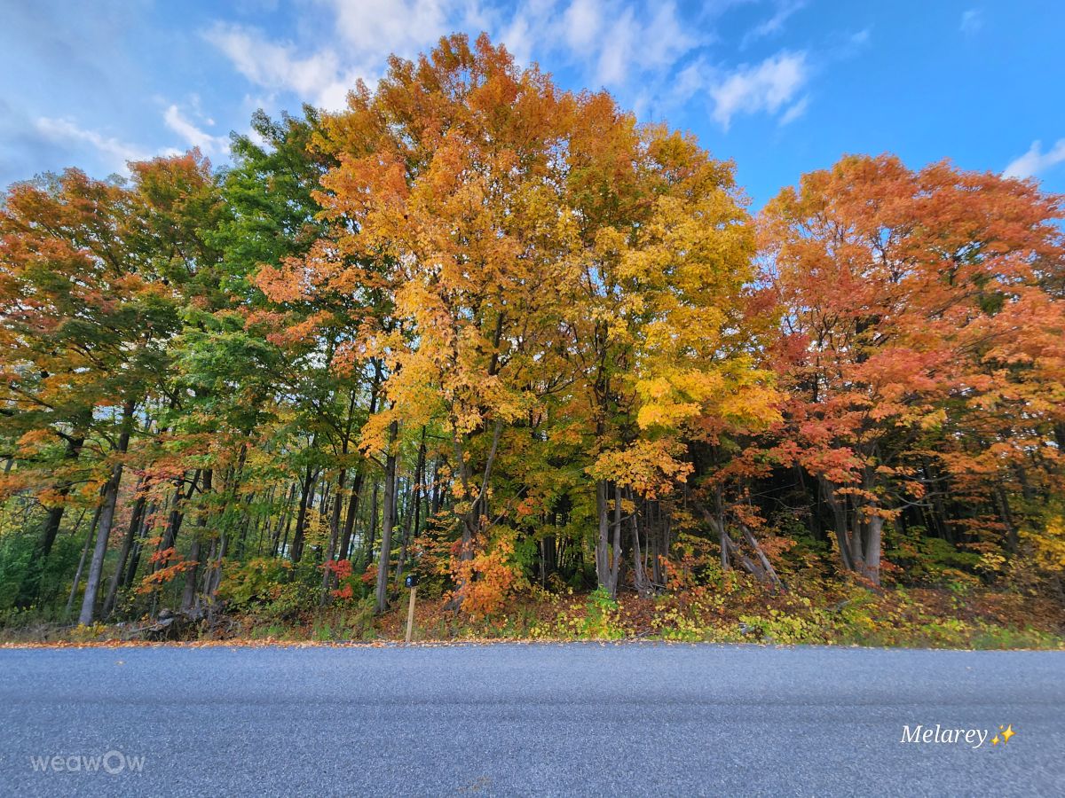 Photographer Melarey, Weather Photos in Heckston - Weawow