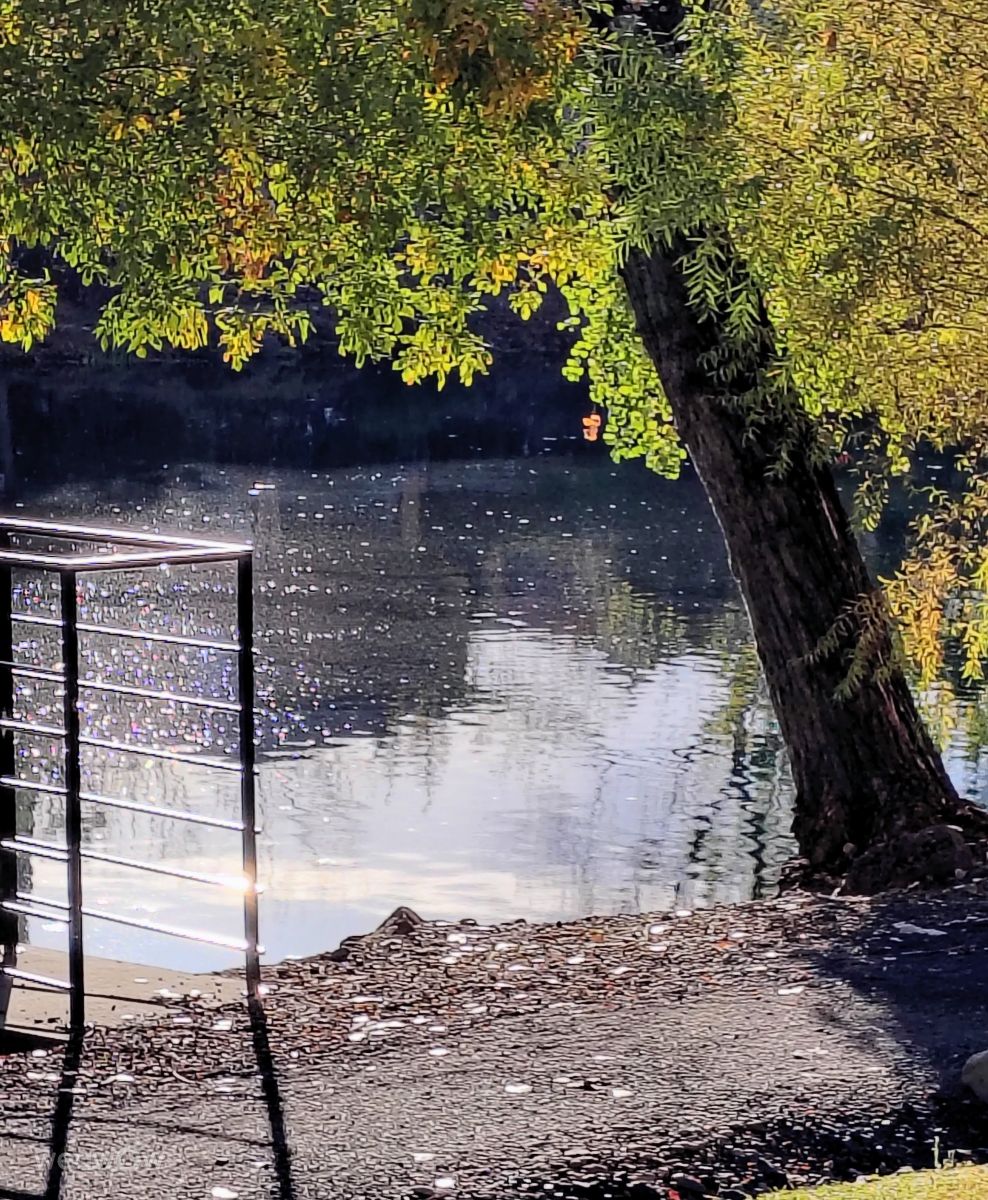 Photographer Ghostroku, Weather Photos in Chico - Weawow