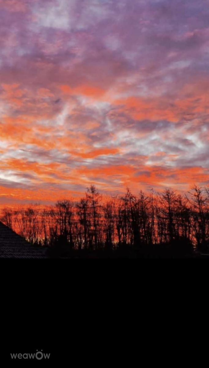 写真家 Seni、Velbertの天気写真 - Weawow
