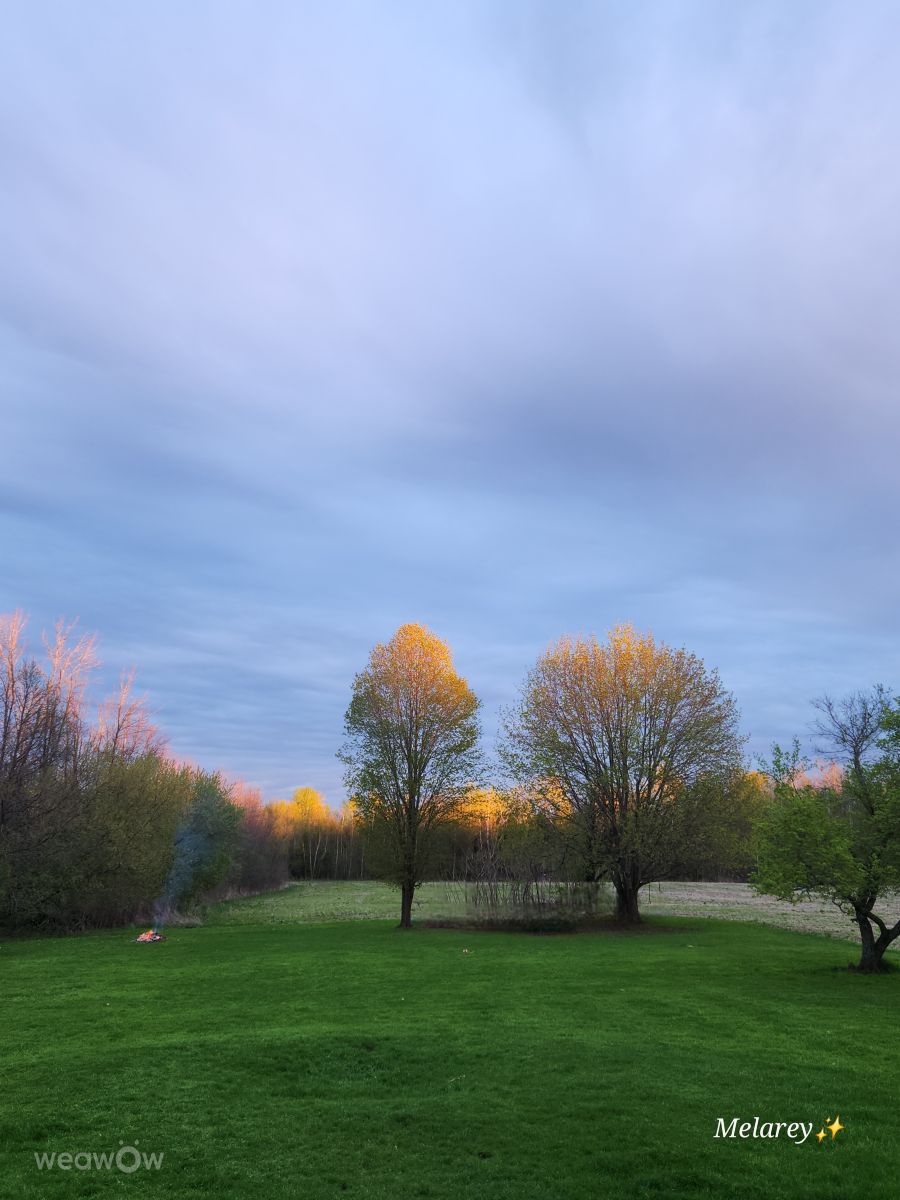 Photographe Melarey, Photos météo à Heckston - Weawow
