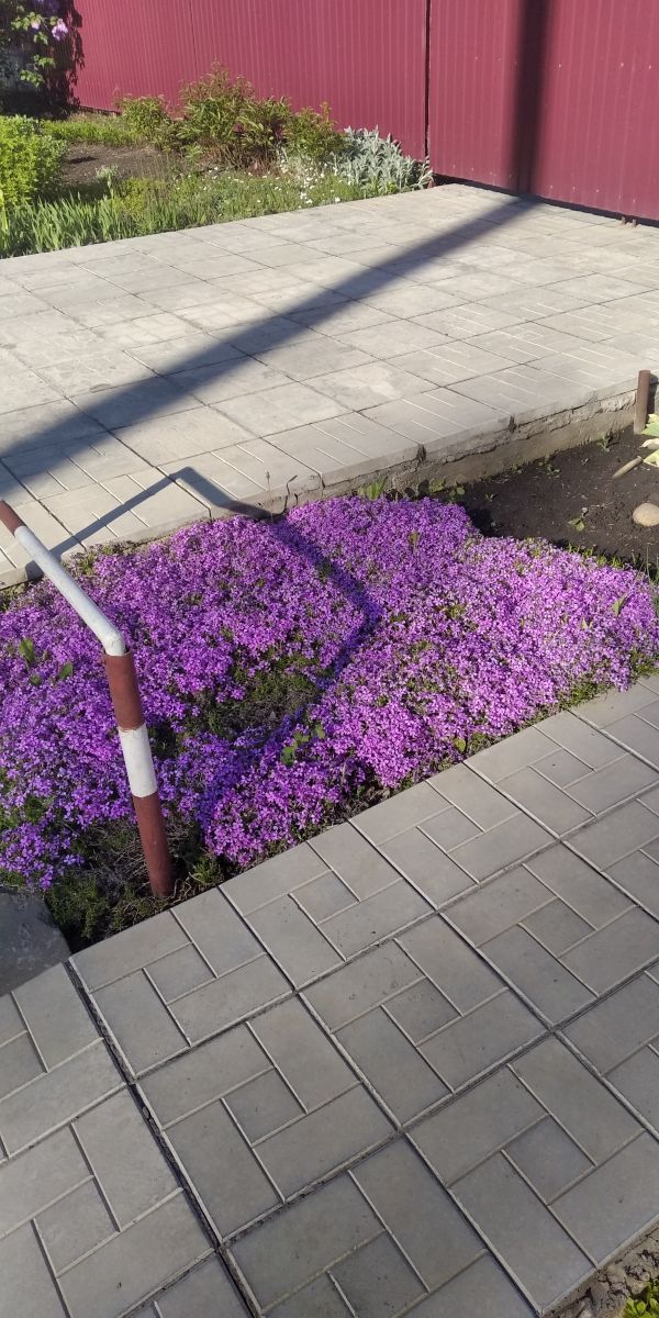 Fotógrafo Andrei_Sh, Fotos sobre el clima en Lípetsk - Weawow