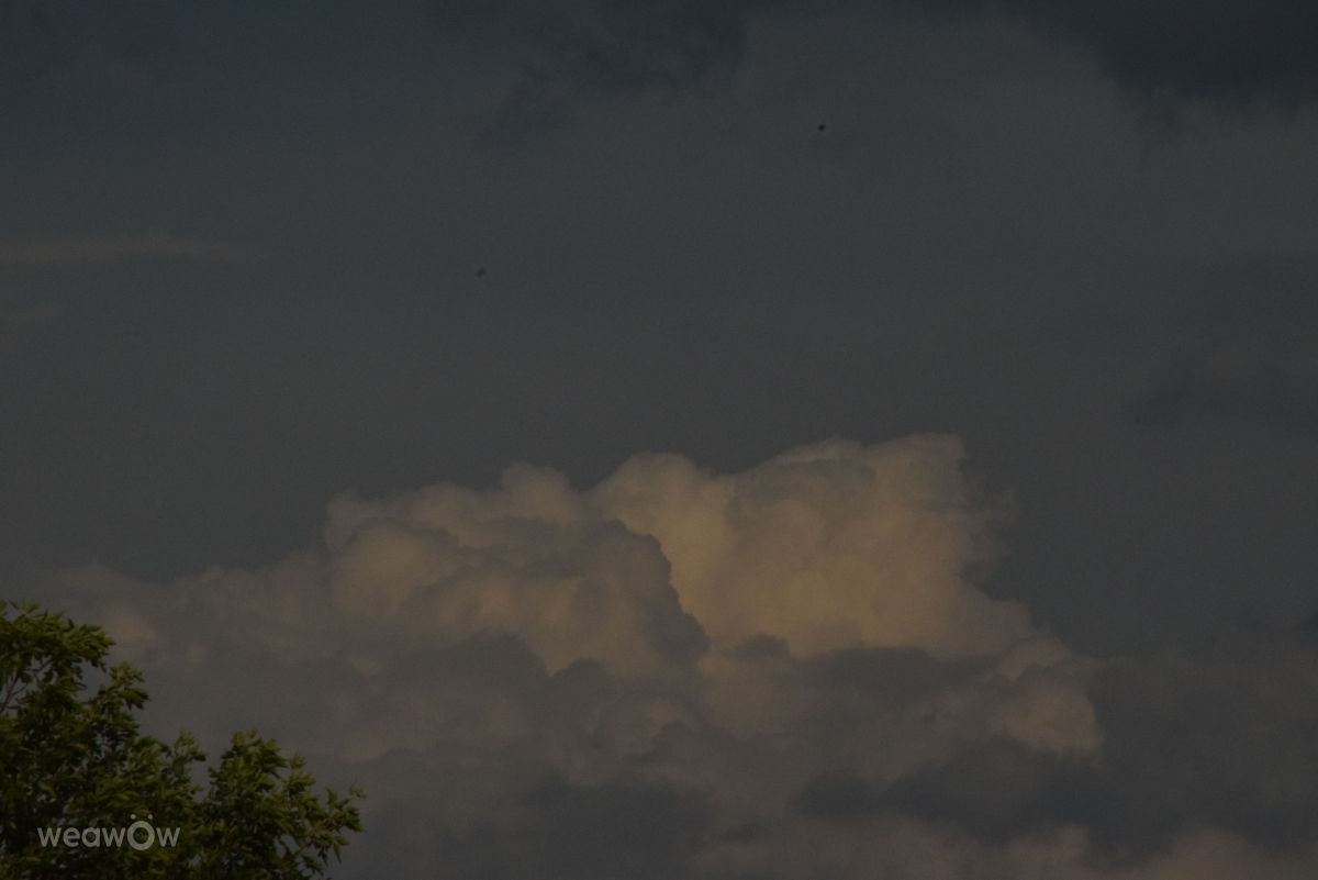 写真家 meca78、Suseniの天気写真 - Weawow