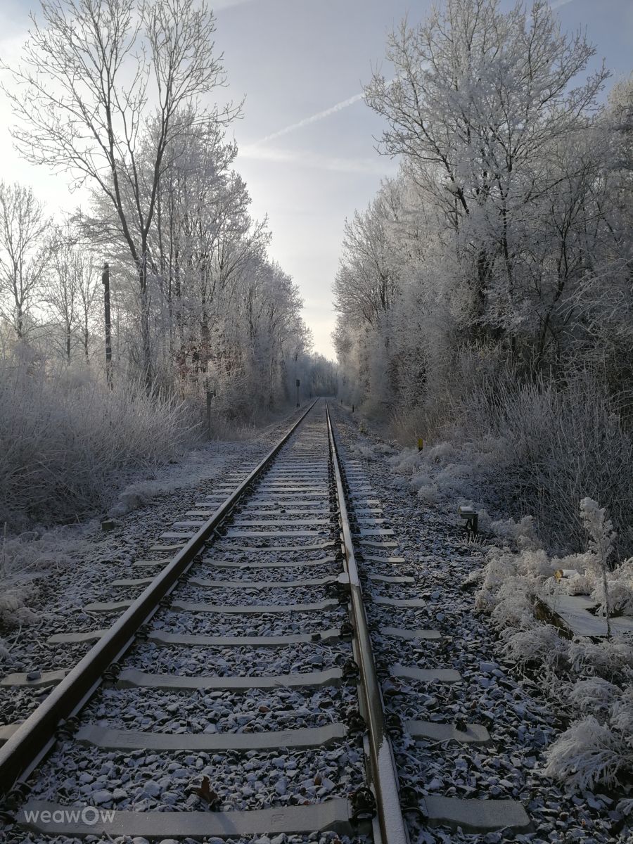 World, Weather forecast & Photos - Weawow