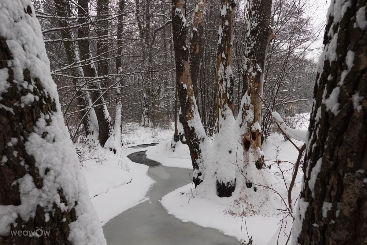 Praha 4 Czechia, Previsioni meteo a 14 giorni, Radar & Foto - Weawow