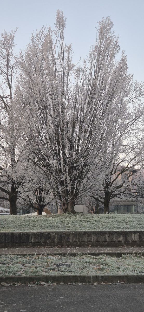 Photographe Emanuele1975, Photos météo à Montichiari - Weawow