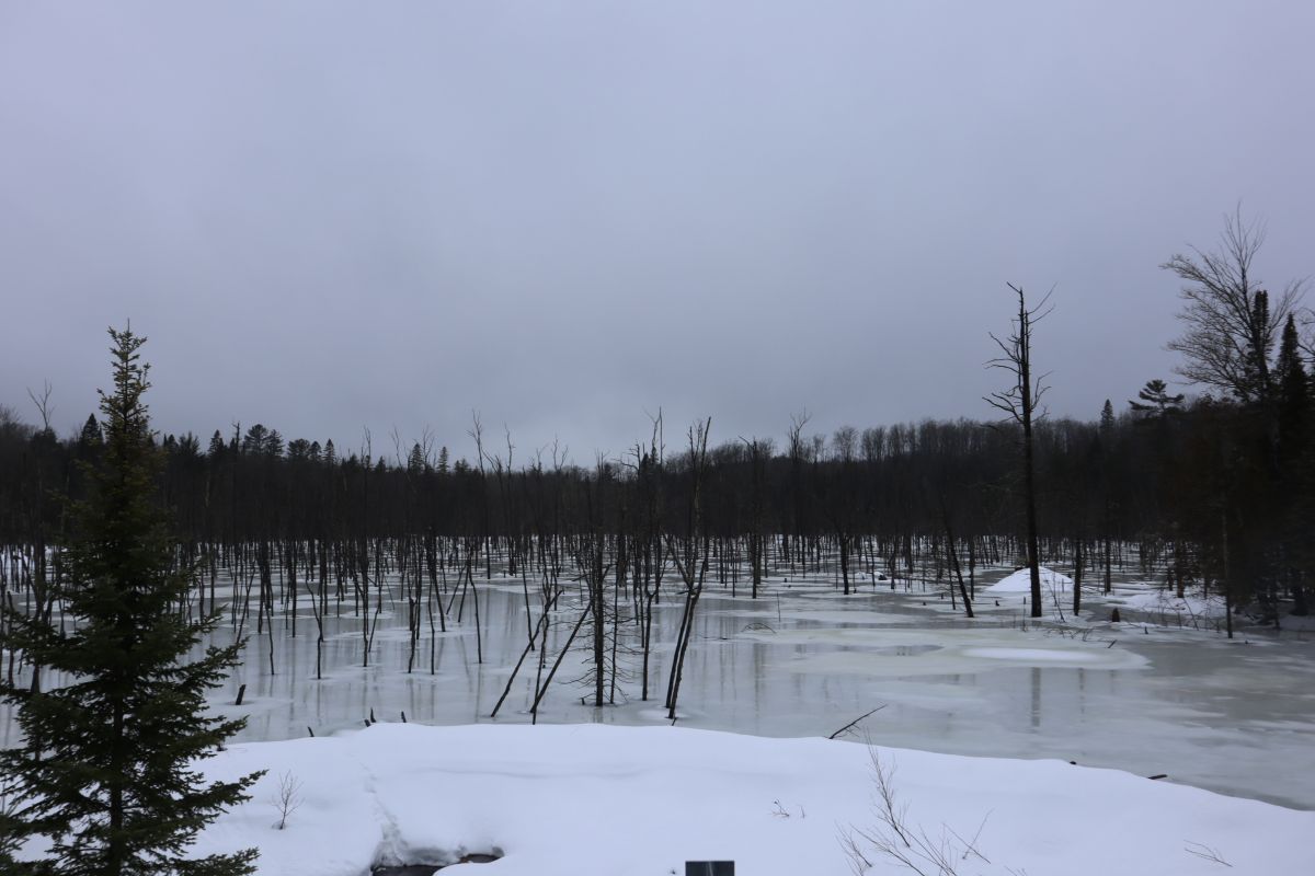 写真家 NorthernMichiganBeauty、Nisulaの天気写真 - Weawow