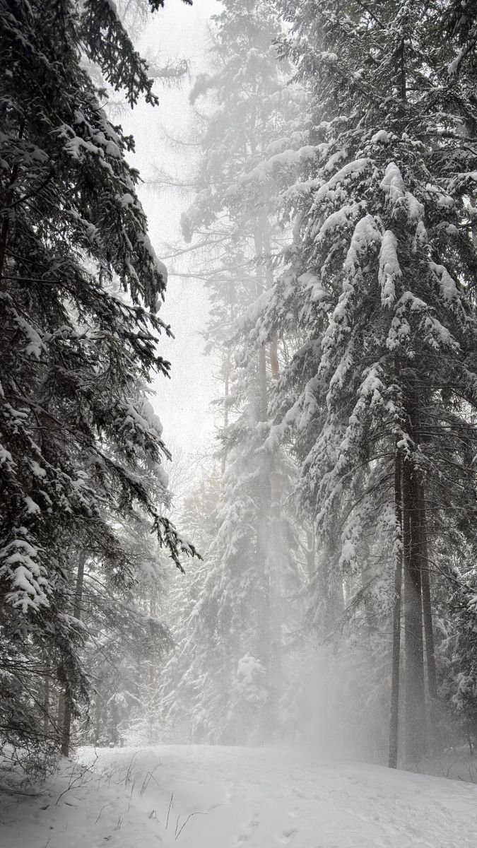 ช่างภาพ LMukasz, ภาพถ่ายสภาพอากาศใน Gmina Stary Sącz - Weawow