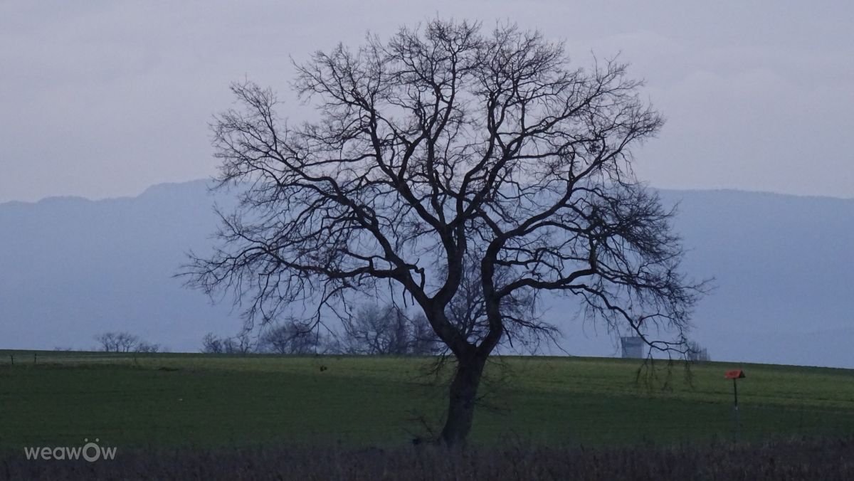 Fotógrafo Alexandre Christian Jousson, Fotos sobre el clima en Meinier ...