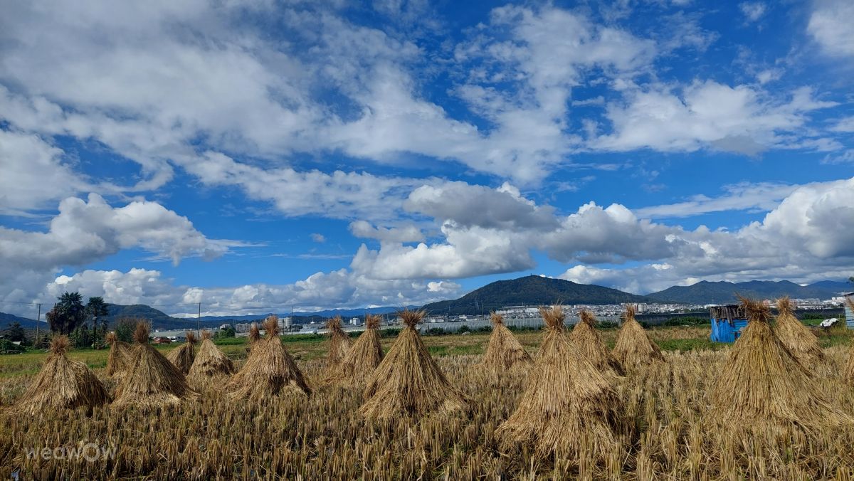 Yunnan China, 14 days Weather forecast, Radar & Photos - Weawow