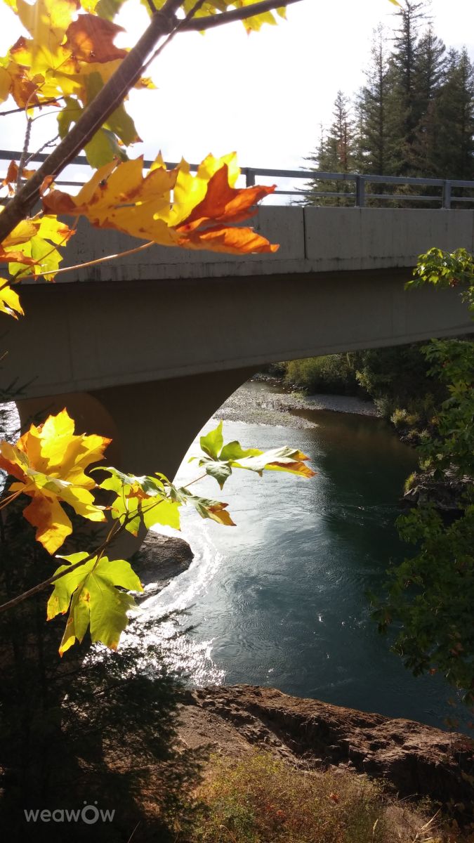 Santiam Pass United States, 14 days Weather forecast, Radar & Photos ...