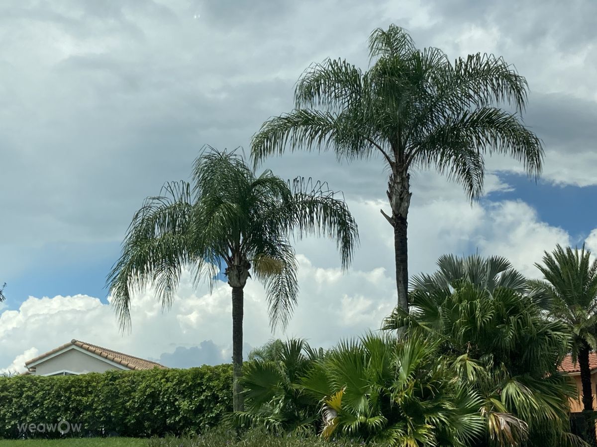 Photographer FaeryInFlorida, Weather Photos in Florida - Weawow